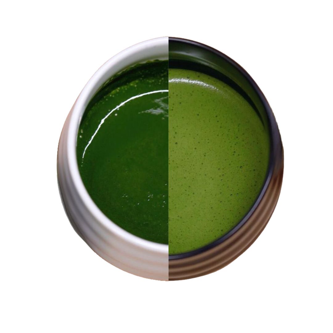 Usucha vs. Koicha – How to Make the Perfect Matcha – yoochamatcha.com